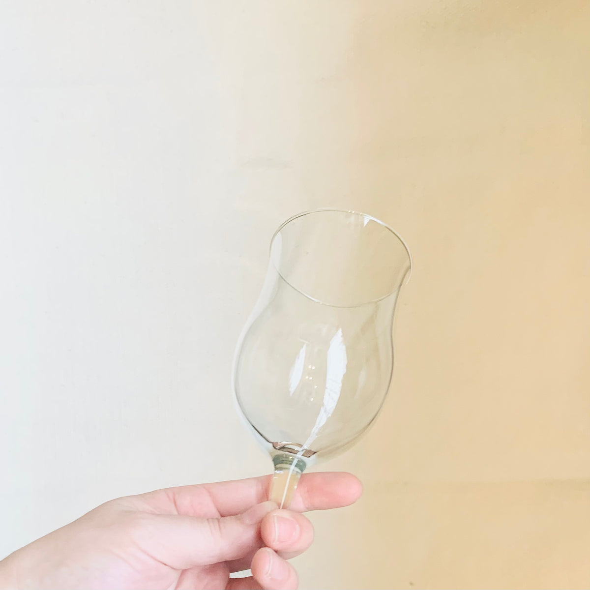 Tulip Wine Glass – Softhouse