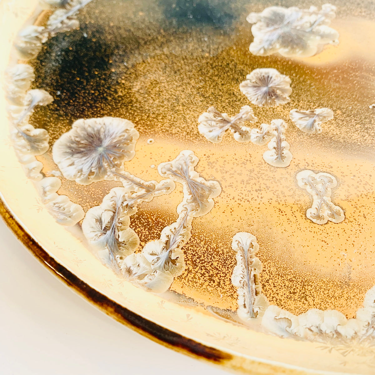 Hoar Frost Plate – Softhouse